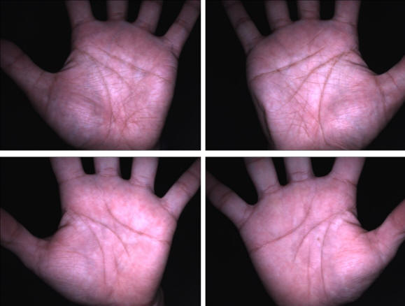 Towards contactless palmprint recognition